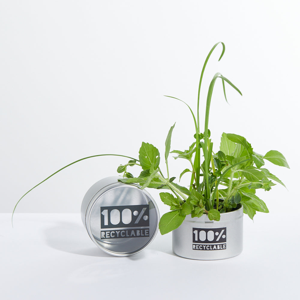 Mini Greenhouse – pod-sustainable-goods